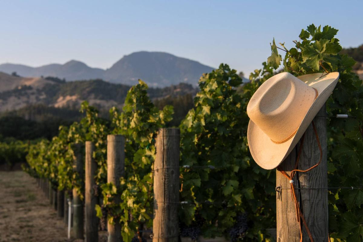 Wine tasting eventhttps://findmynirvana.com/wine-tasting-event ...